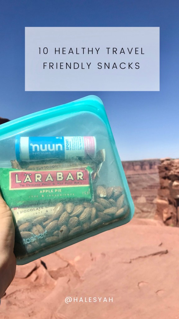 10 Healthy Travel Friendly Snacks – Halesyah