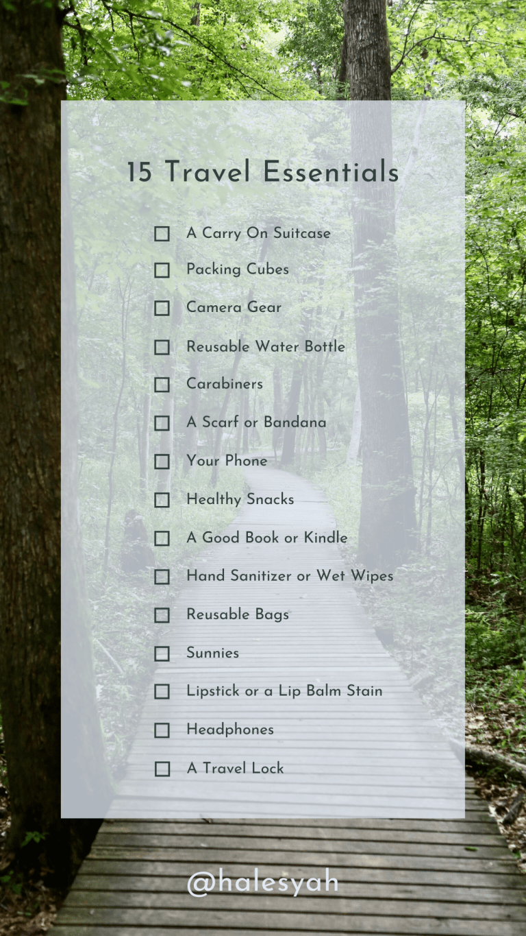 15 Top Travel Essentials – Halesyah
